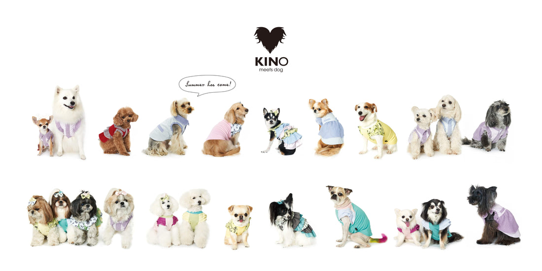 KINO meets dog ONLINE STORE