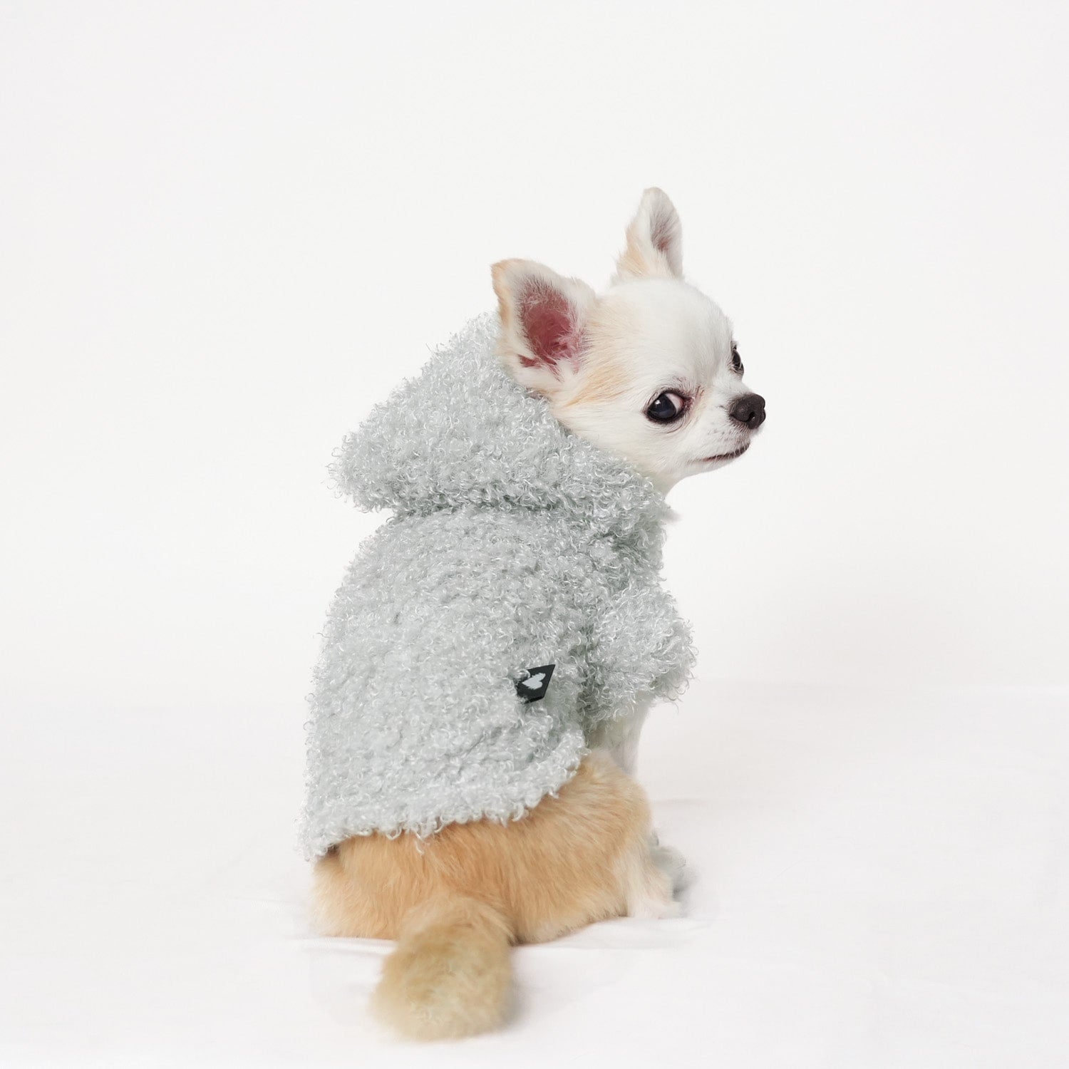 KINO meets dog ONLINE STORE