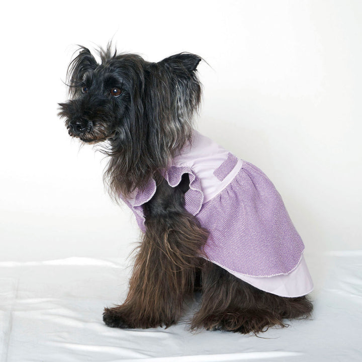 KINO meets dog ONLINE STORE