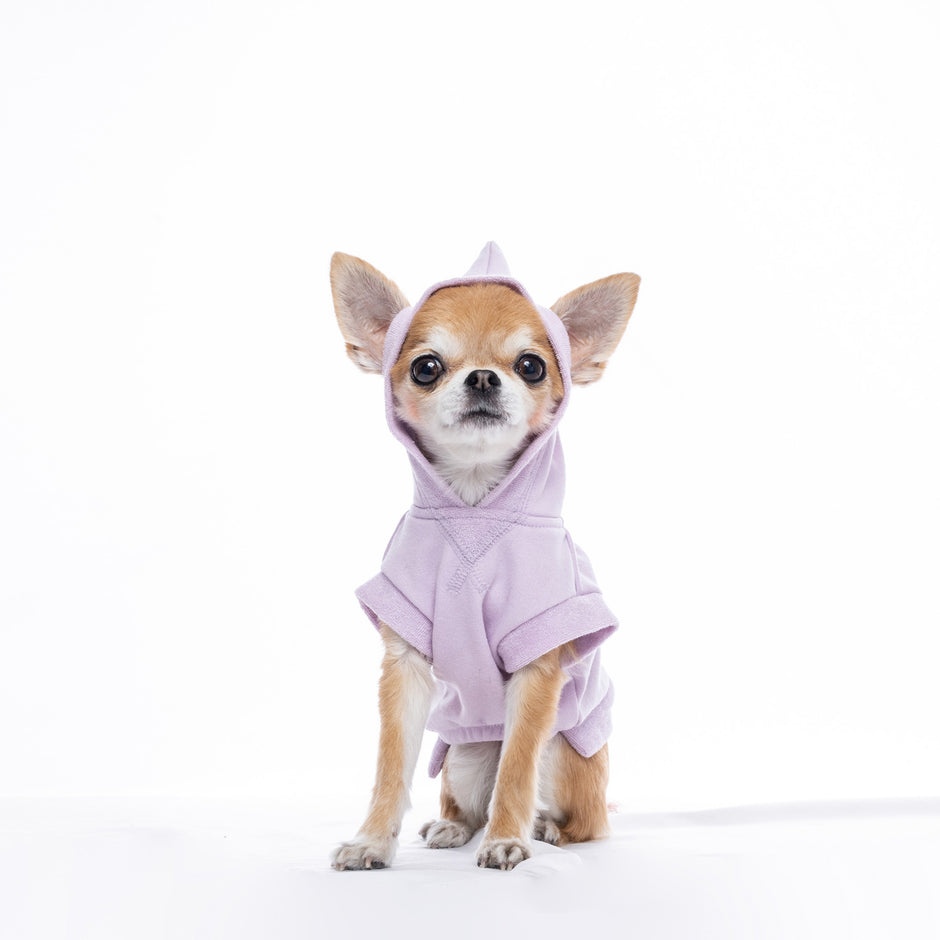 KINO meets dog ONLINE STORE